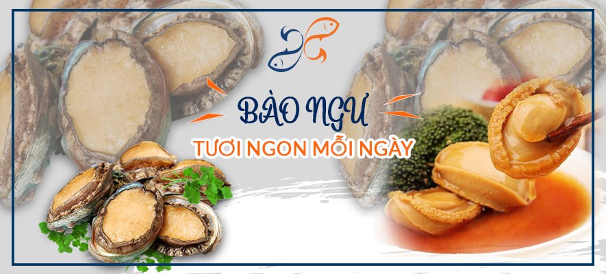 ALOJOB | Thông tin nhà tuyển dụng Công ty HASA